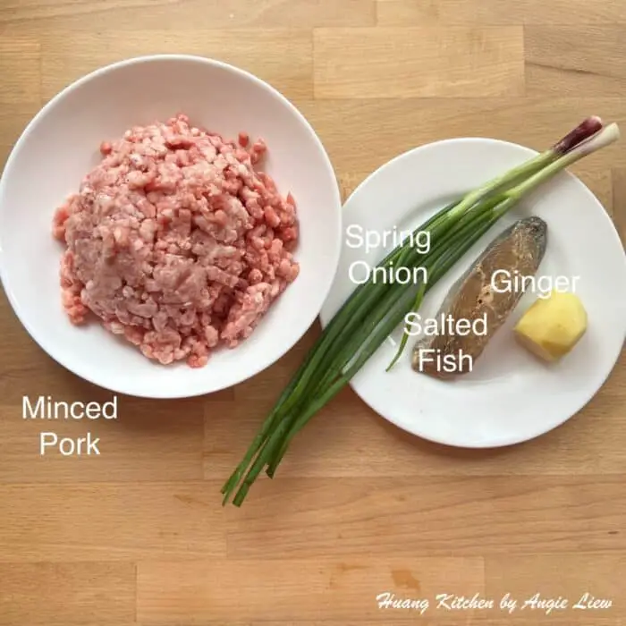 Steamed Minced Pork with Salted Fish Recipe 咸鱼蒸肉饼 | Huang Kitchen